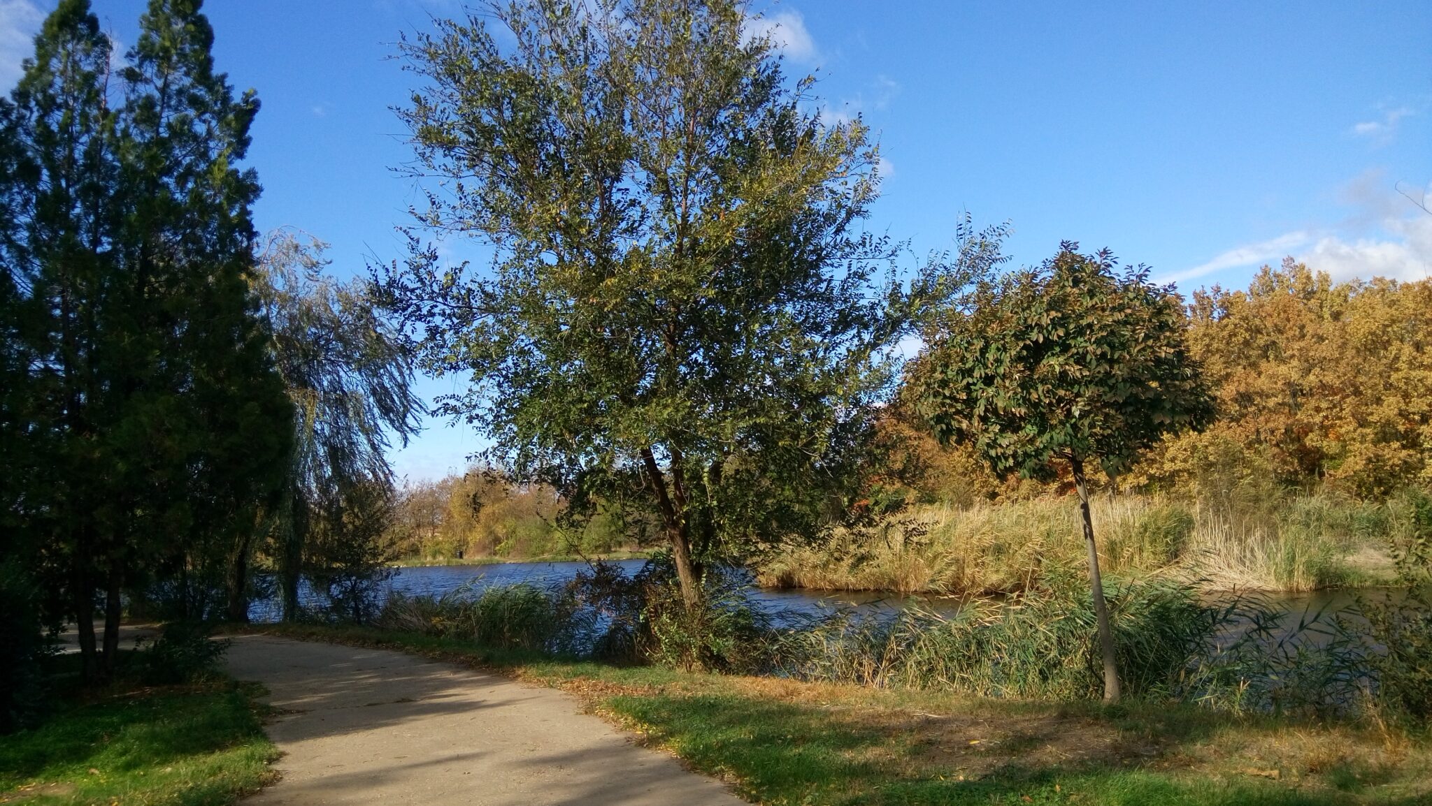 Kemping – Berekfürdői Gyógy- és Strandfürdő
